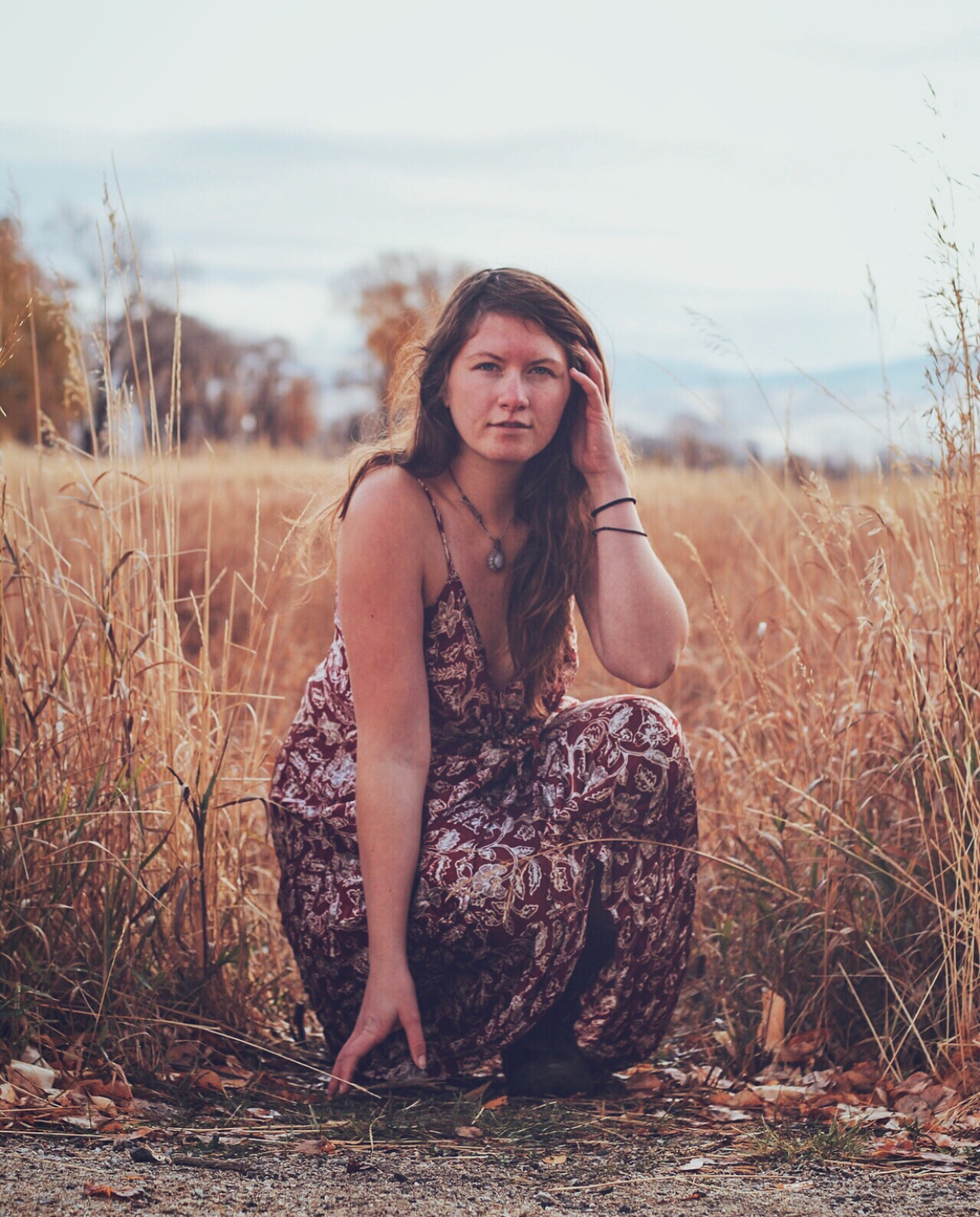 Meala Media | Gallery